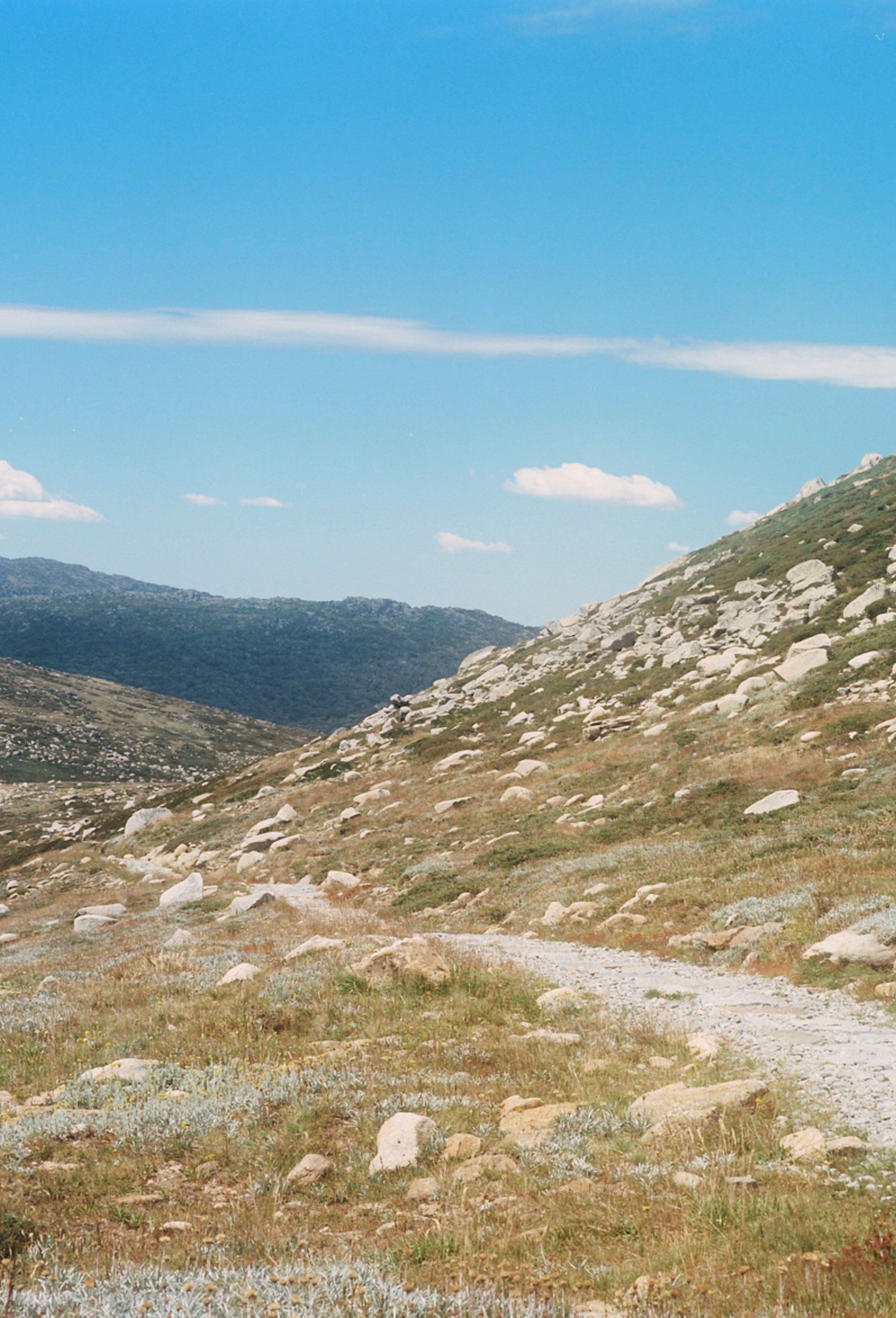 Caring for the Environment – Kuwaii